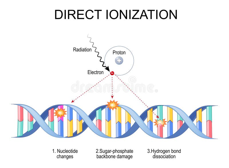 Dna and Direct ionization stock vector. Illustration of lifestyle ...