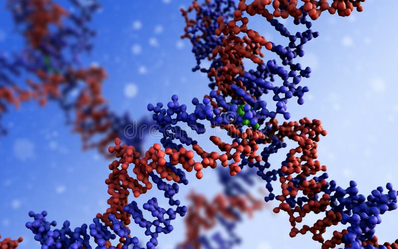 DNA, DNA close-up stock illustration. Illustration of acid - 157906350