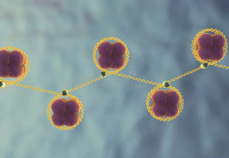 DNA is a Double Helical Structure Composed of Nucleotides Stock ...