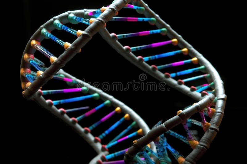 Dna Double Helix, with Complementary Base Pairs Forming Unique and ...
