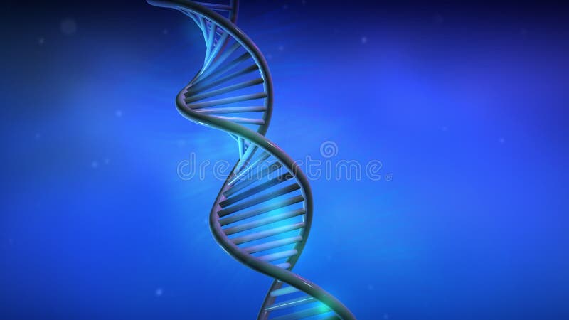 DNA Double Helix 3D Model Rotation Video. Stock Footage - Video of ...