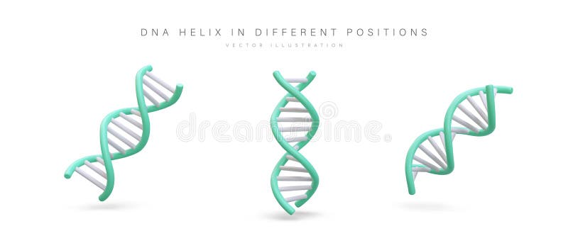 DNA Double Helix in Different Positions. Part of Human Genetic Code ...