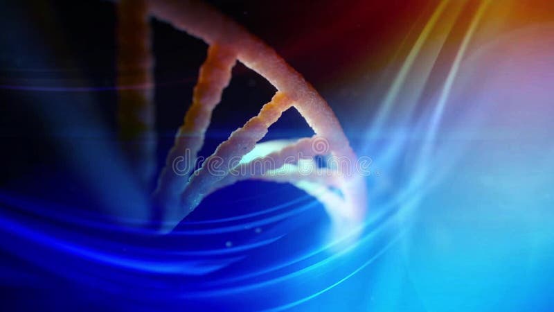 DNA Model Double Helix Deoxyribonucleic Acid 3d Animation 4k Stock ...