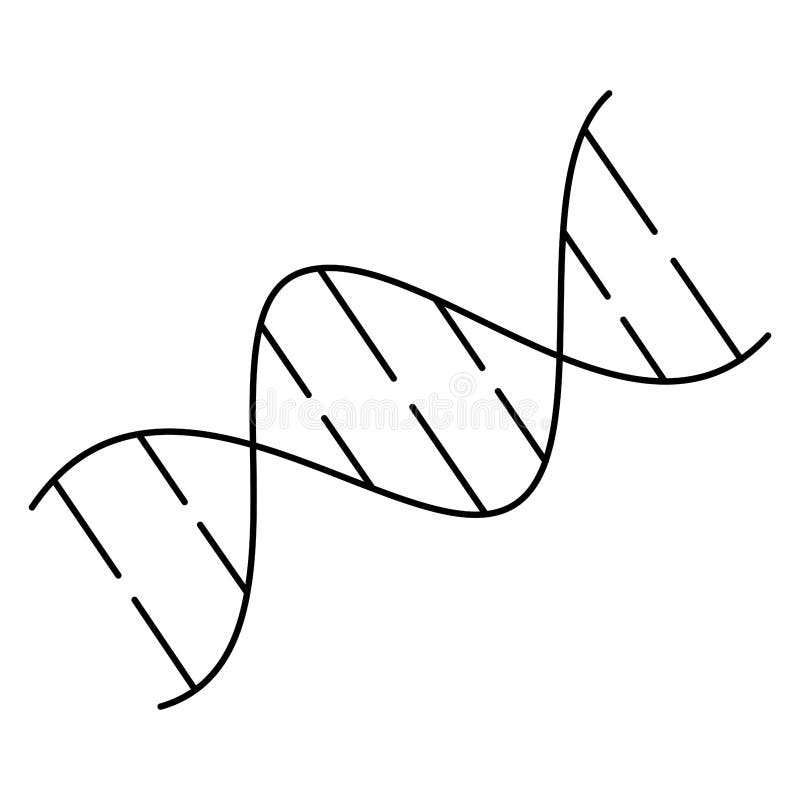 DNA Double Helix. Modern Minimal Black Thin Line Vector Icon Stock ...