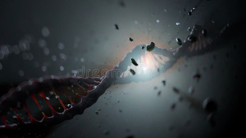 DNA Double Helix with Molecular Interactions, Demonstrating Genetic ...