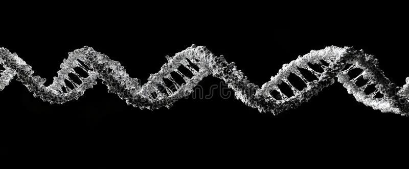 The DNA Double Helix. Research in Science. Deciphering the Genome and ...