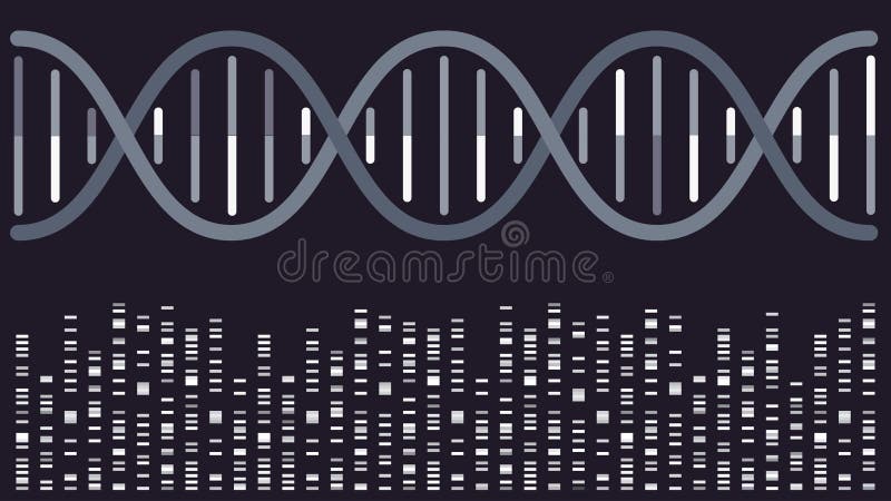 Dna Bands Stock Illustrations – 24 Dna Bands Stock Illustrations ...