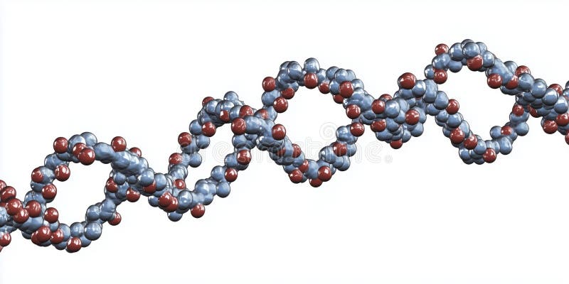 DNA Double Helix Structure with Atoms Represented in 3D Model ...