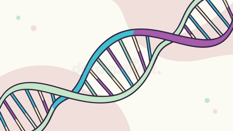DNA Double Helix Structure Colorful Illustration, Vector Design ...