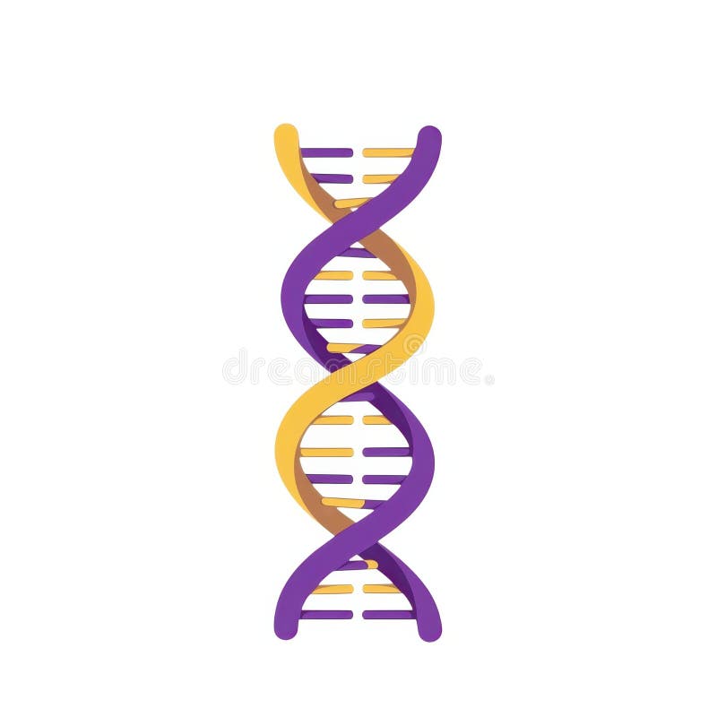 Dna Double Helix Structure Illustration on White Background Stock ...