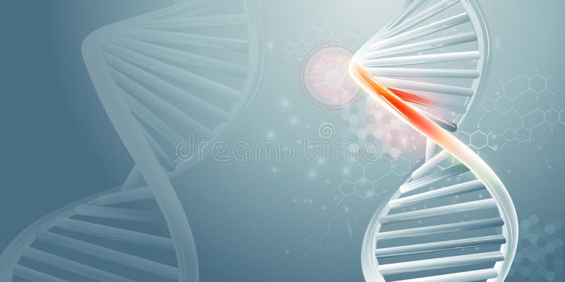 DNA Double Helix Strands and Scientific Data Infographics. Stock ...