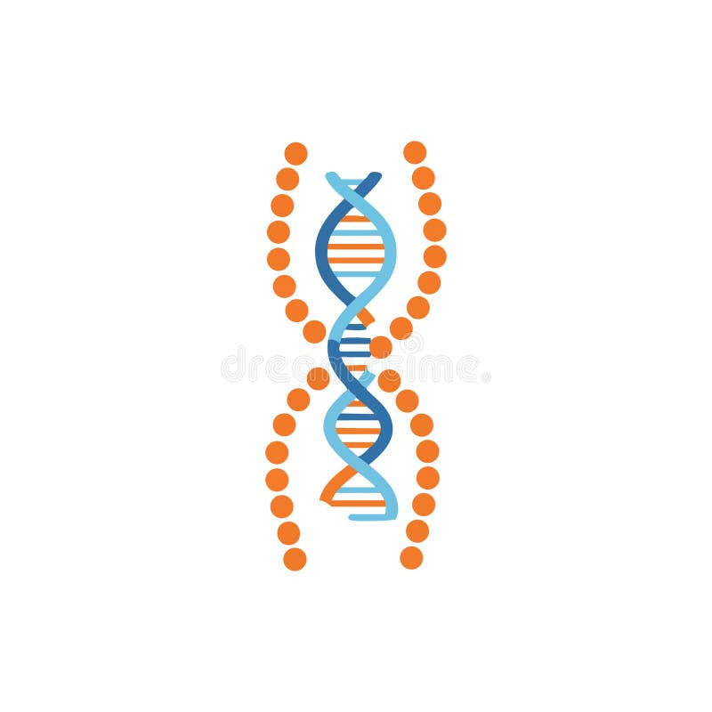 DNA Double Helix Structure with Orange Molecular Spheres Vector ...