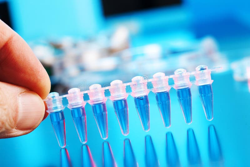 Genetischer Fingerabdruck - DNA-Analyse Stockfoto - Bild von ...