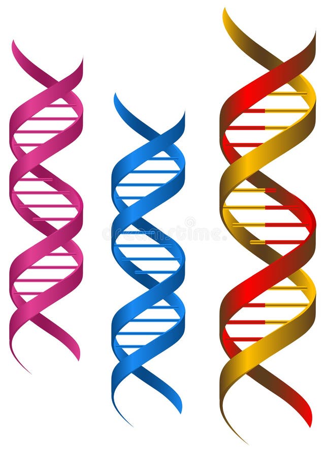 Dna stock vector. Illustration of biotech, healthy, deoxyribonucleic ...