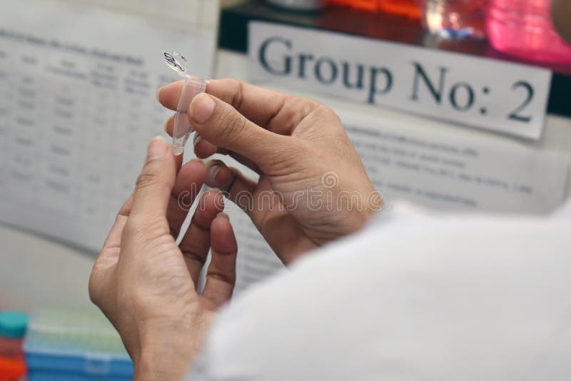 DNA Extraction Procedure in Laboratory. Stock Photo - Image of analysis ...