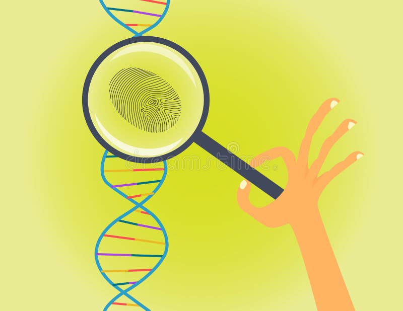 DNA Fingerprinting and Testing Conceptual Illustration. Stock Vector ...