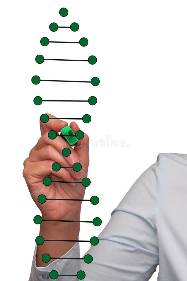 DNA gene code chain stock photo. Image of structure - 179979678