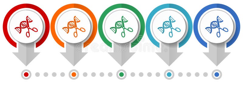 Dna, Genetic Modification Vector Icon Set, Flat Design Infographic Template, Set Pointer Concept ...