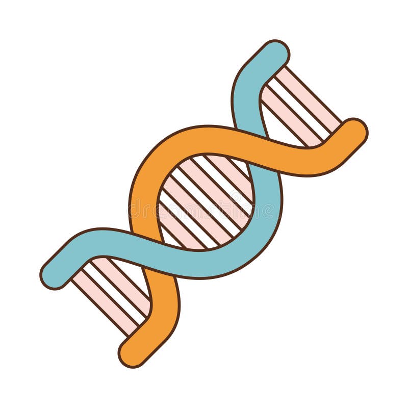DNA Genetic Molecular Structure Stock Illustration - Illustration of ...
