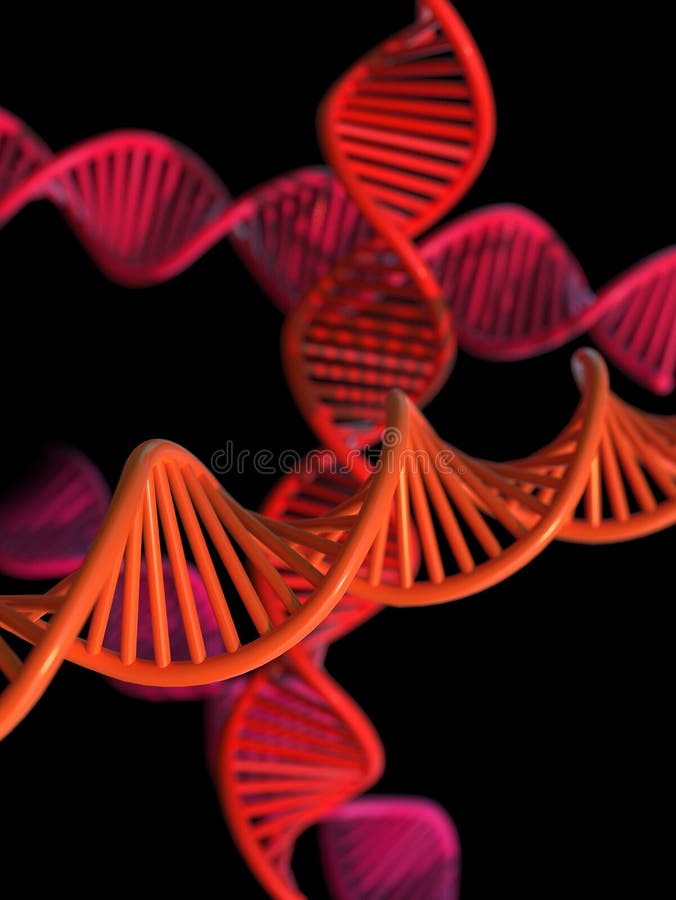 DNA Genetic Molecule Spiral Structure Stock Illustration - Illustration ...