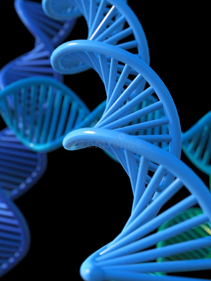 DNA Genetic Molecule Spiral Structure Stock Illustration - Illustration ...