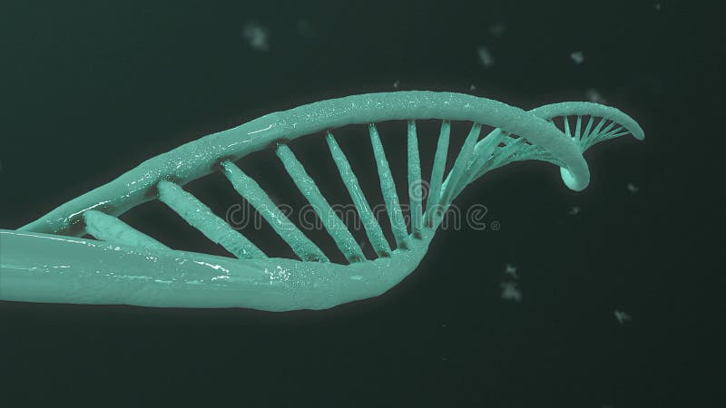 DNA Helix Evolution stock footage. Video of helix, genes - 64144294