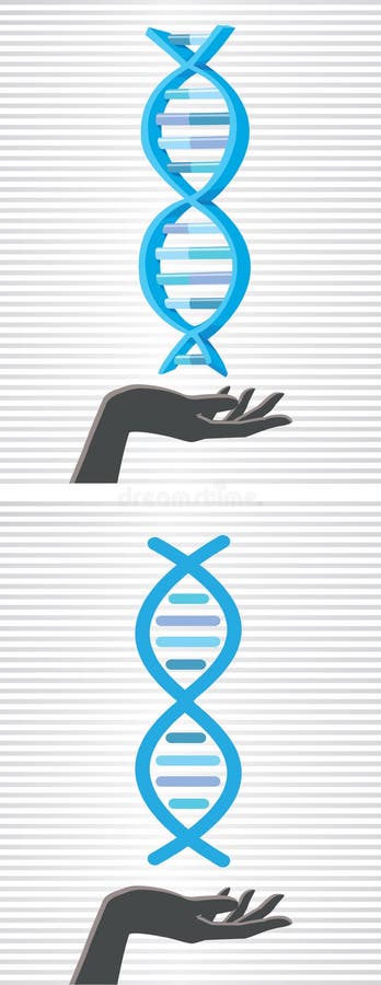 DNA Helix in hand stock vector. Illustration of acid - 33273436
