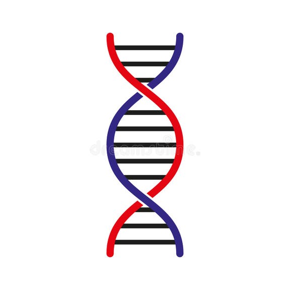 DNA Helix Icon. Genetic Structure Shape. Molecular Biology Element ...