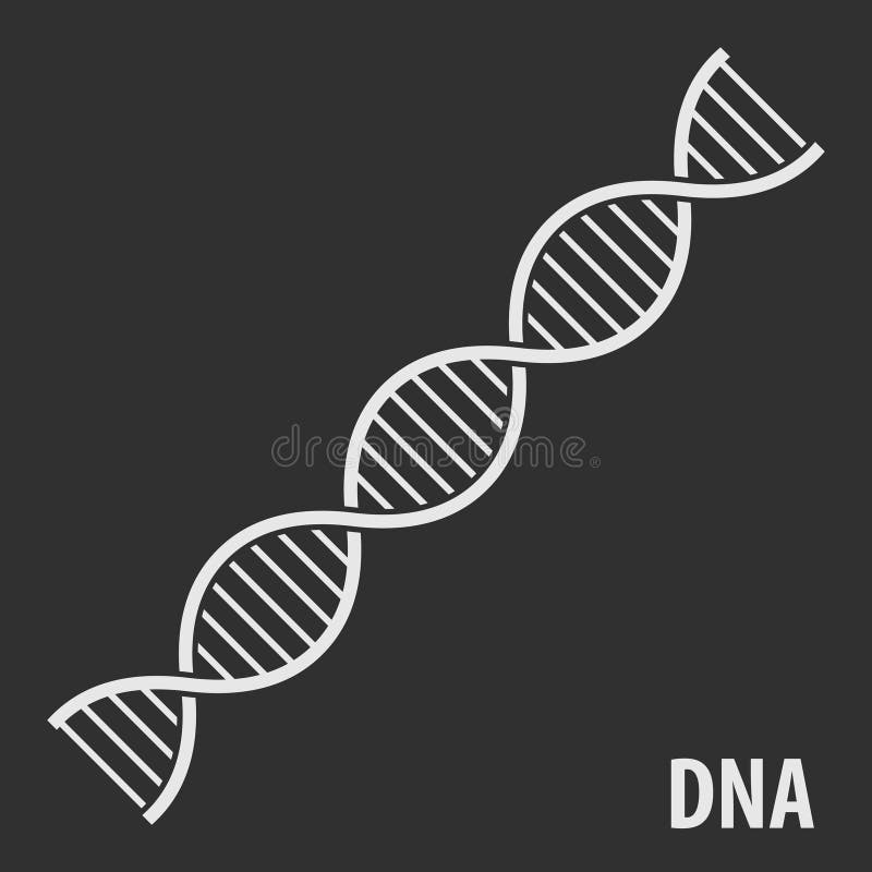 DNA Helix Icon, Human Genetic Symbol Stock Vector - Illustration of ...