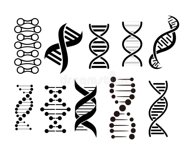 DNA Helix Icon vector stock vector. Illustration of chemistry - 203541001