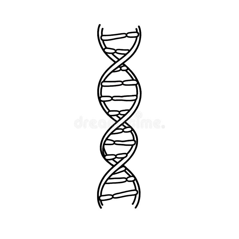 DNA Double Helix Illustration Stock Illustration - Illustration of ...