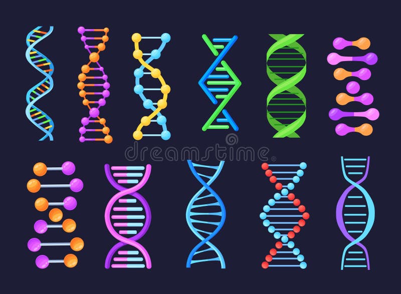 Double Helix Illustration Structure Sequence Stock Illustrations ...