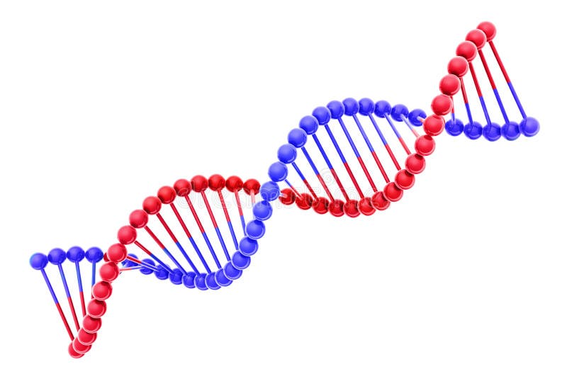 DNA Helix Model Isolated on White Stock Illustration - Illustration of ...