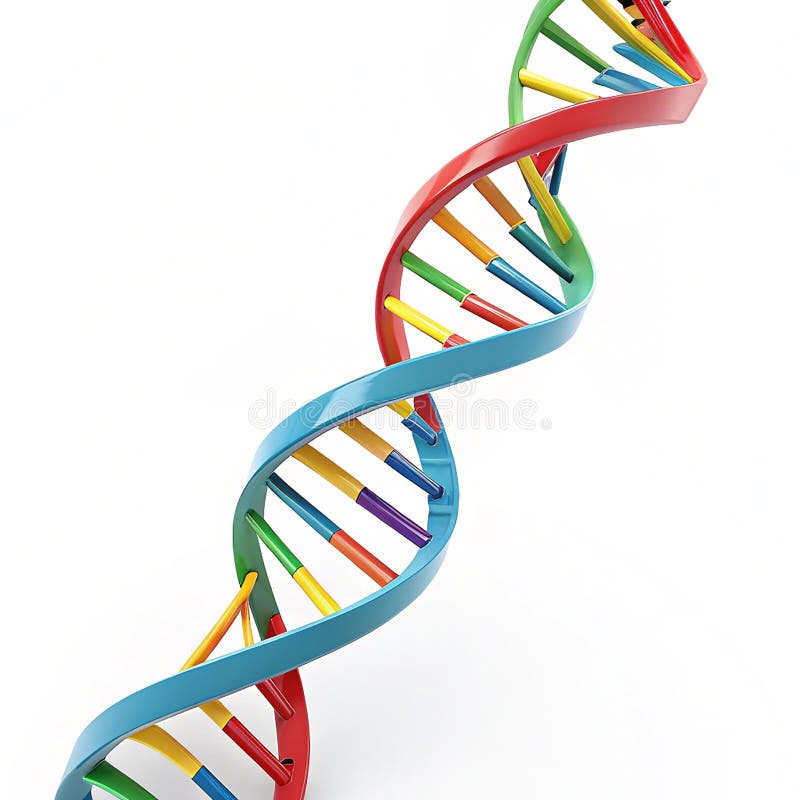 DNA Helix Model in Vibrant Colors Stock Illustration - Illustration of ...