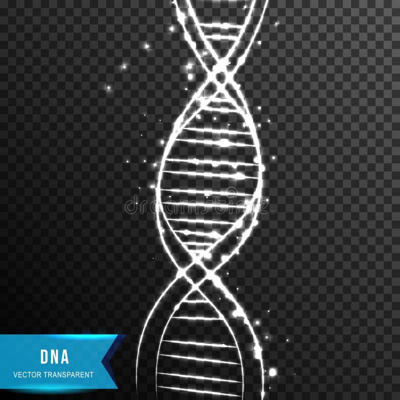 Dna Helix Transparent Background Stock Illustrations – 679 Dna Helix ...