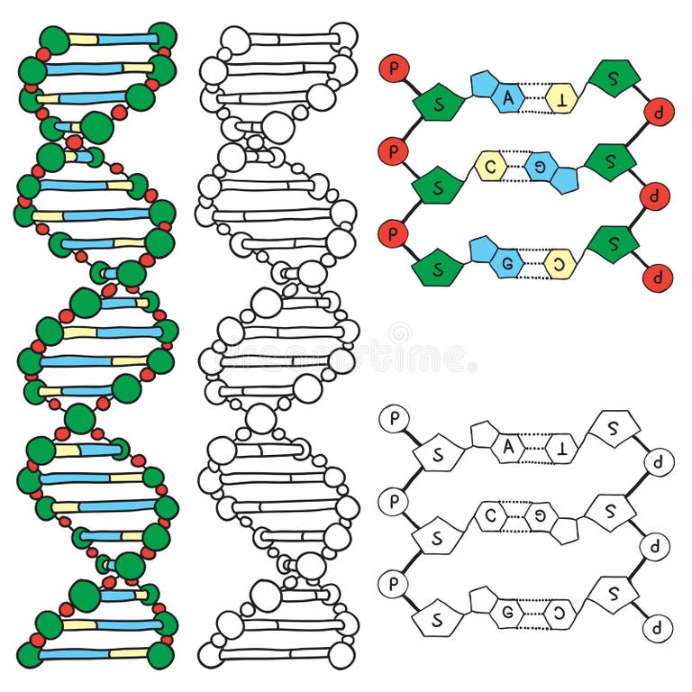 Hand Drawing Molecule Structure Stock Illustrations – 1,151 Hand ...