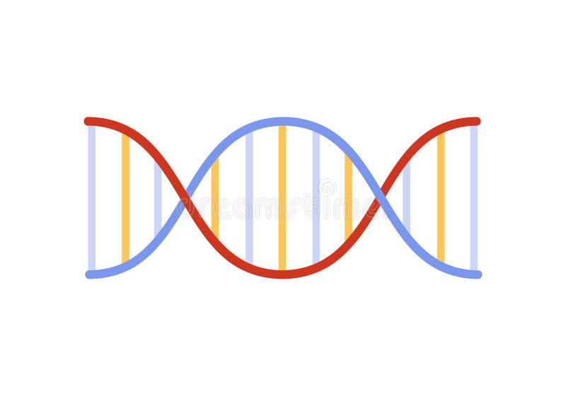 DNA Helix, Scientific Model of Molecule with Spiral Structure Stock ...