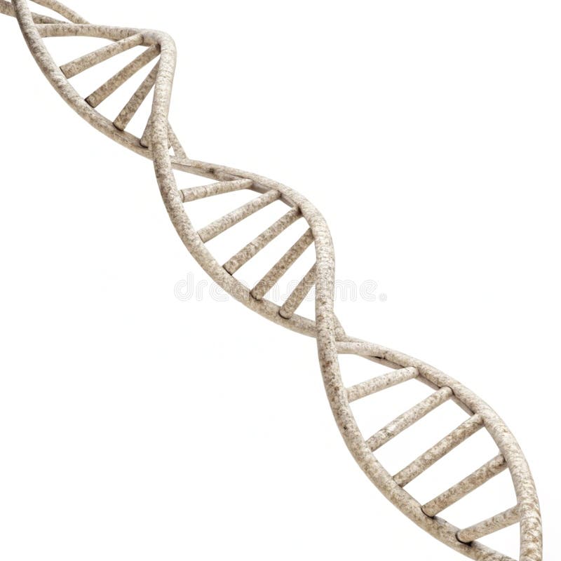 DNA Helix Sequence Element Isolated on White Background Stock ...