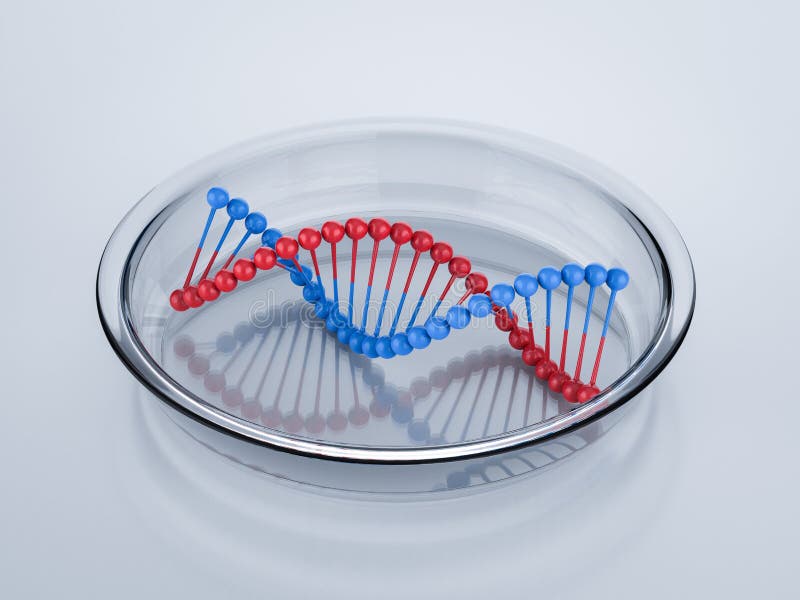 X-ray dna helix structure stock illustration. Illustration of xray ...