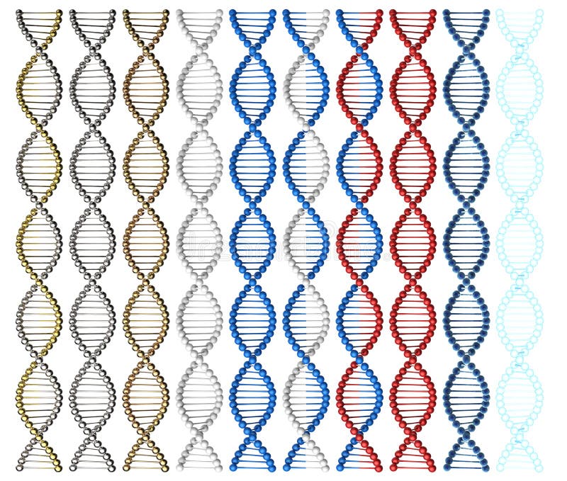 X-ray dna helix structure stock illustration. Illustration of xray ...