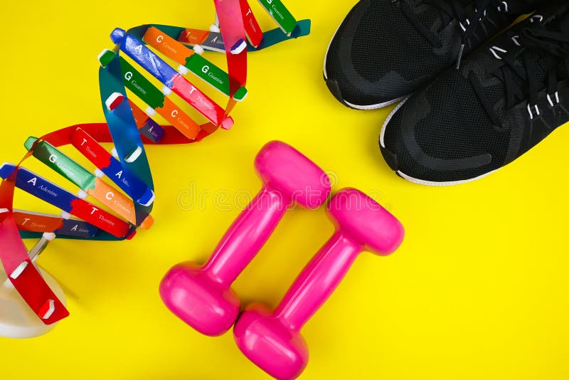 DNA Helix Structure. How To Develop a Workout Plan Based on Your ...