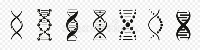 DNA Icon Collection. Set of Black Dna Icons Stock Vector - Illustration ...