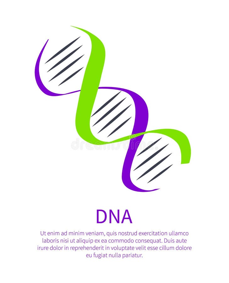 DNA Icon of Genetic Code, Deoxyribonucleic Acid Stock Vector ...