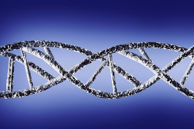 DNA. Illustration of the Molecular Structure of DNA Strands of Human ...