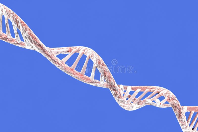 DNA. Illustration of the Molecular Structure of DNA Strands of Human ...