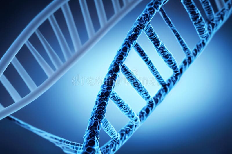 DNA. Illustration of the Molecular Structure of DNA Strands of Human ...