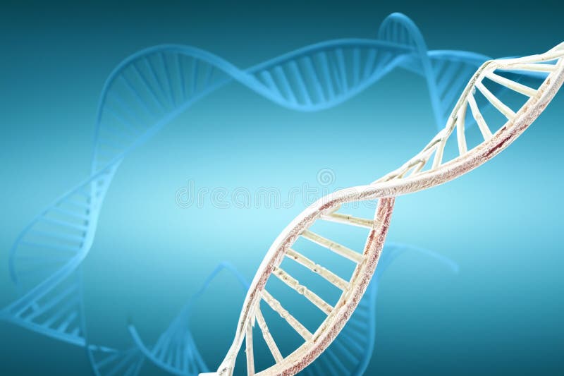 DNA. Illustration of the Molecular Structure of DNA Strands of Human ...