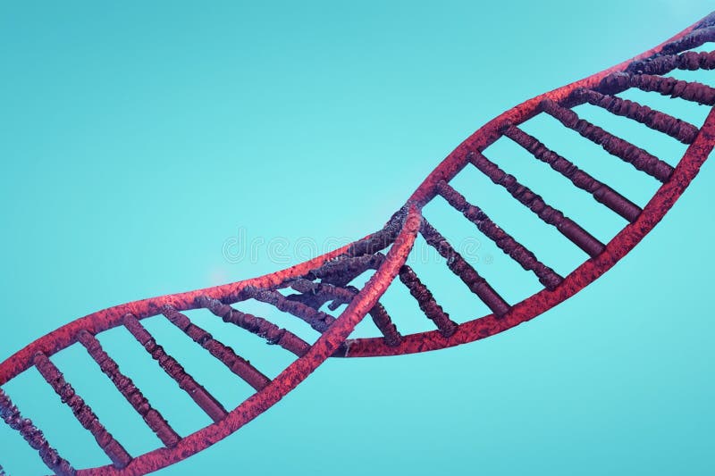 DNA. Illustration of the Molecular Structure of DNA Strands of Human ...