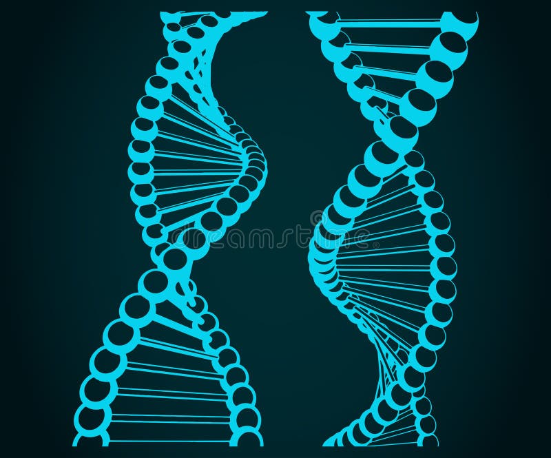 Stylized Dna Helix Stock Illustrations – 147 Stylized Dna Helix Stock ...