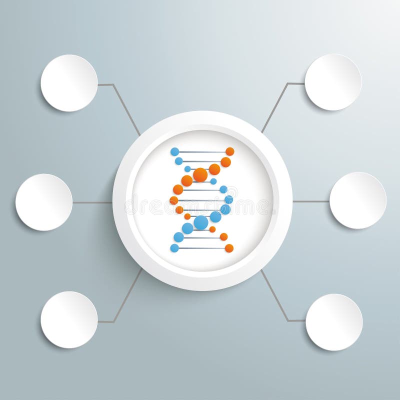 Ring Dna Stock Illustrations – 594 Ring Dna Stock Illustrations ...